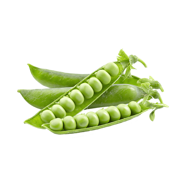 Peas (Matar)-मटर - HaridwarMart