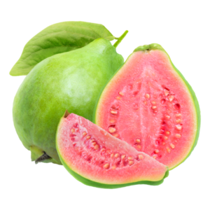 Guava (Amrood) – अमरूद - HaridwarMart