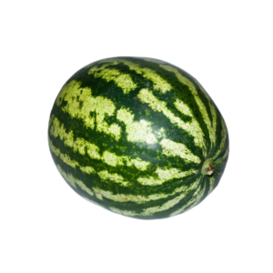 Water Melon (Tarbuj) – तरबूज - HaridwarMart
