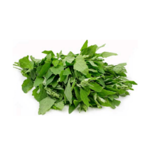 Bathua - बथुआ - HaridwarMart